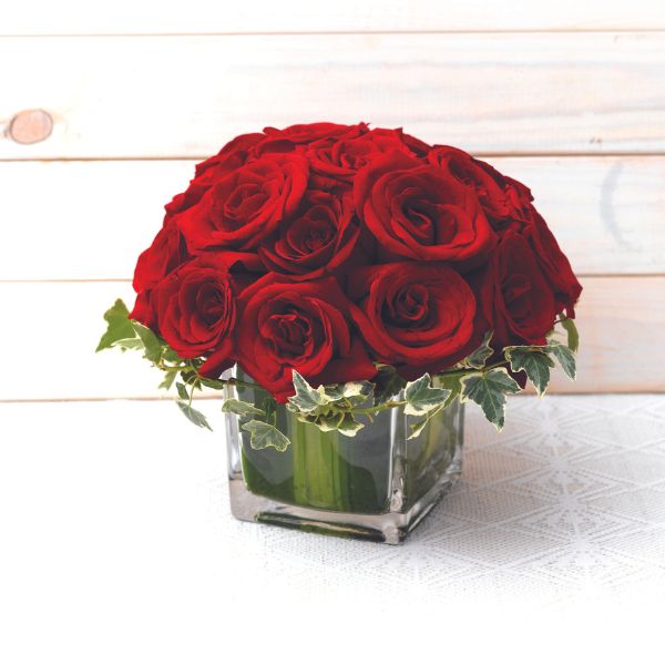 AS 1737 RED RUBBIES – Bloomdale